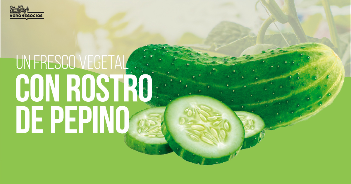 Un Fresco Vegetal con Rostro de Pepino - TierraFértil®