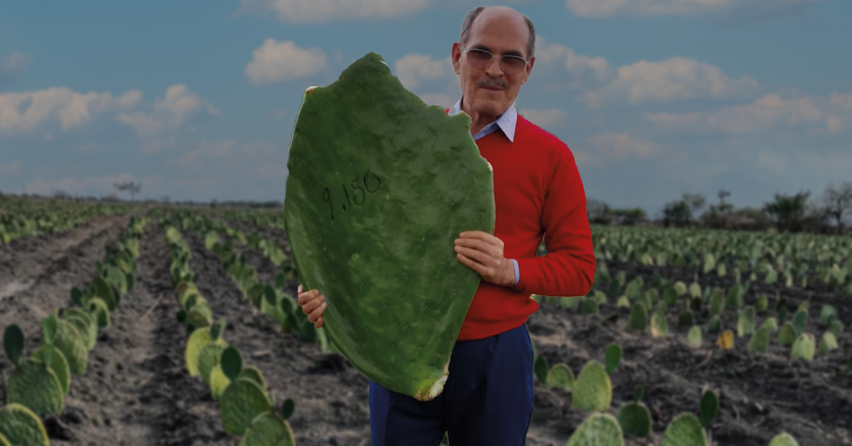 ¿CÓMO SEMBRAR UNA HECTÁREA DE NOPAL FORRAJERO SIN ESPINAS? - TierraFértil®