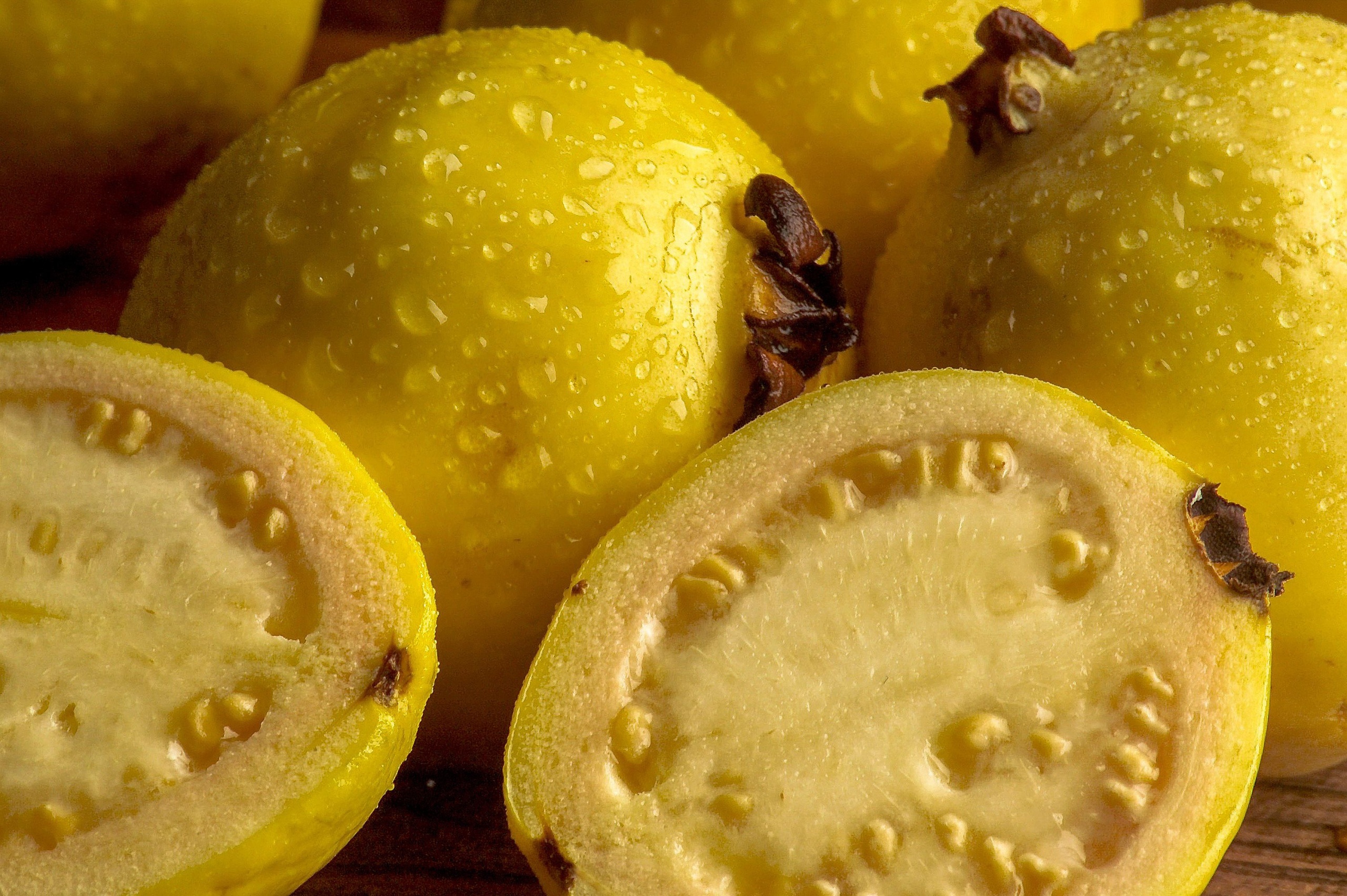 Busca SADER más cosechas y rentabilidad de la guayaba nayarita ...