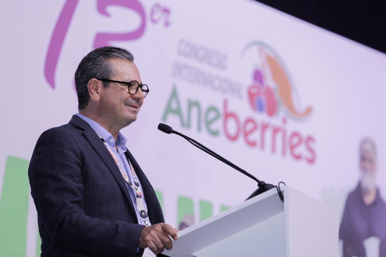 Berries son 2º lugar en agroexportaciones y pilar de la economía rural ...