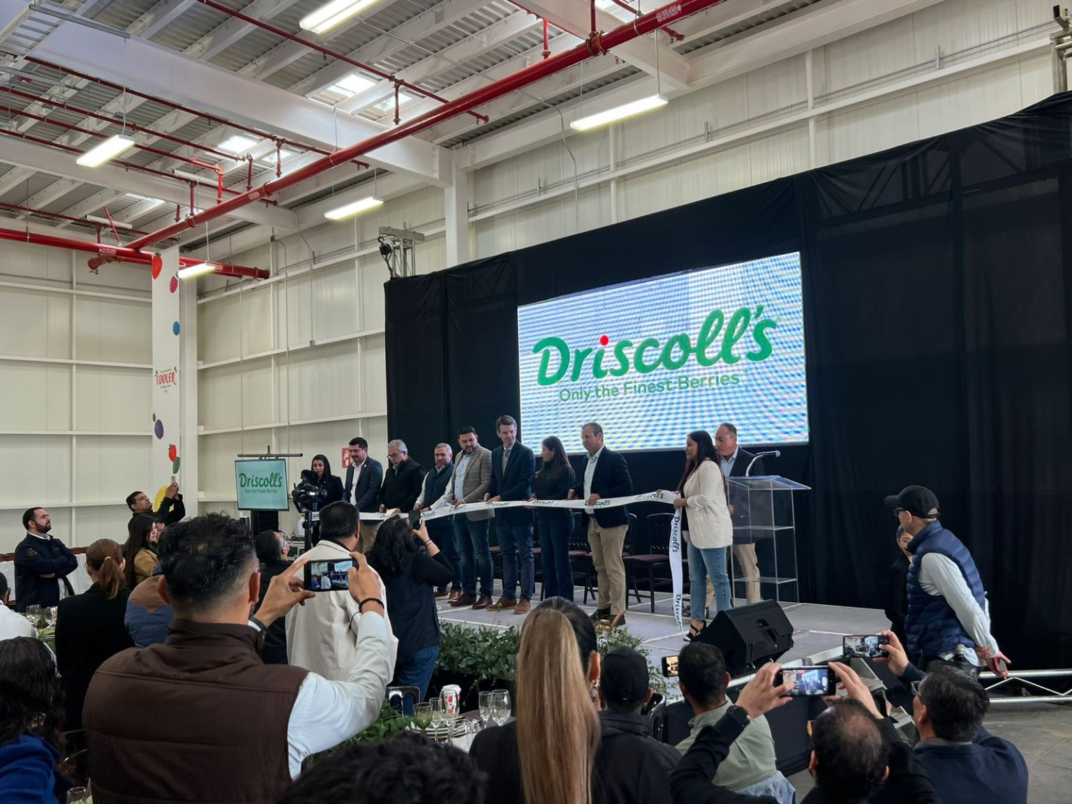 Inaugura Driscoll´s centro frigorífico para 42 mil cajas de berries en Los Altos - TierraFértil®