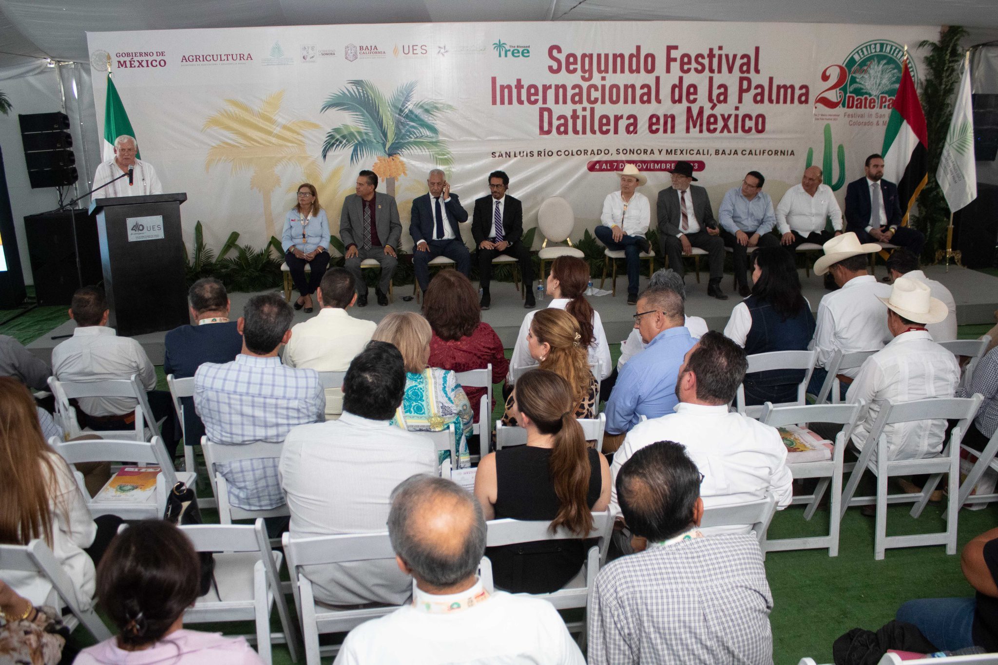 Es México el tercer productor mundial de dátil Medjool - TierraFértil®