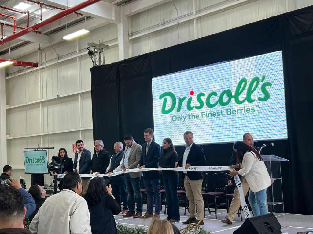 Inaugura Driscoll´s centro frigorífico para 42 mil cajas de berries en Los Altos - TierraFértil®