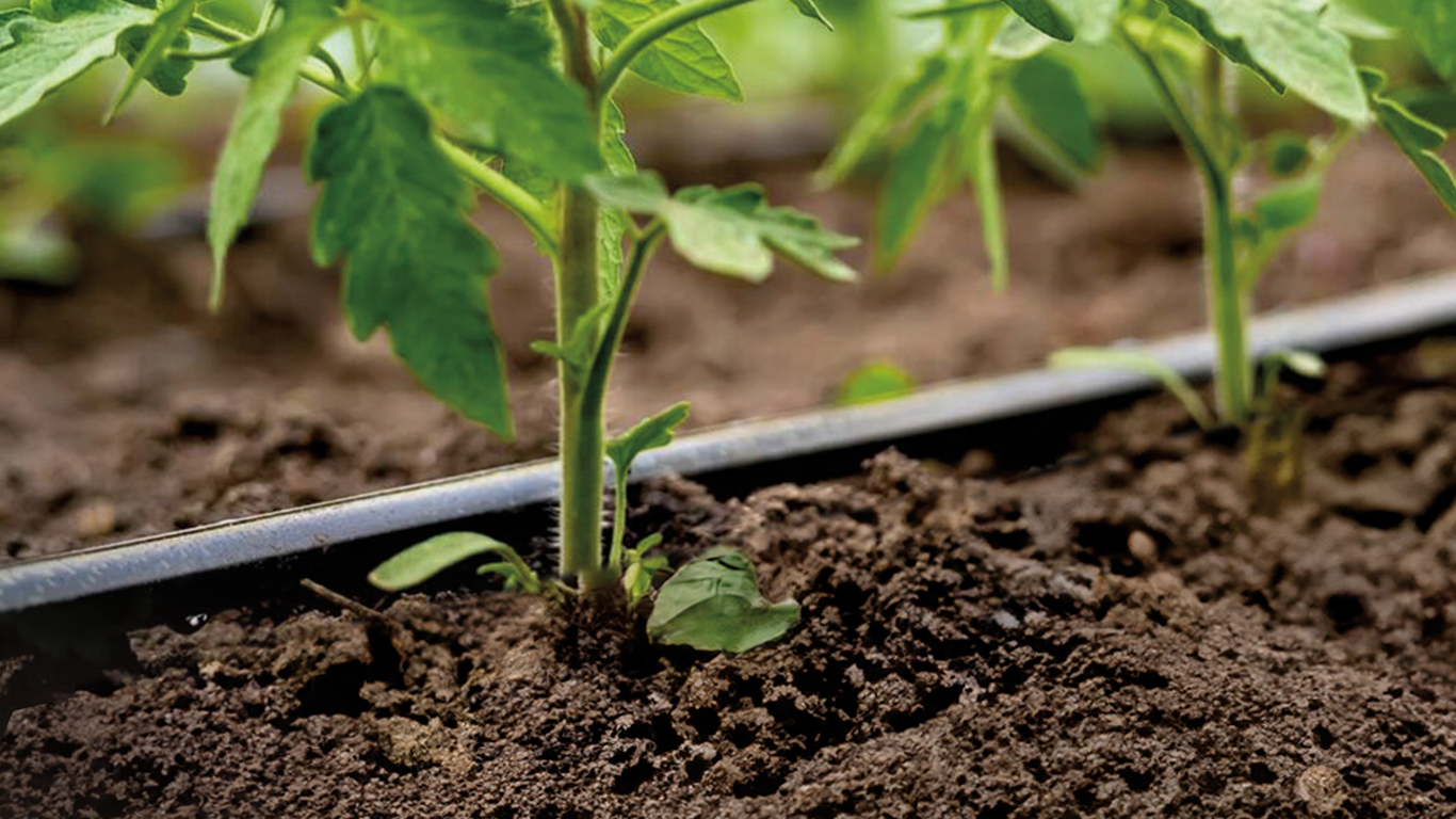 RIEGO SOSTENIBLE: Reusar el agua para conservarla - TierraFértil®