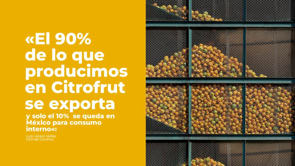 CITROFRUT: LA HISTORIA DEL GIGANTE CITRÍCOLA MEXICANO - TierraFértil®
